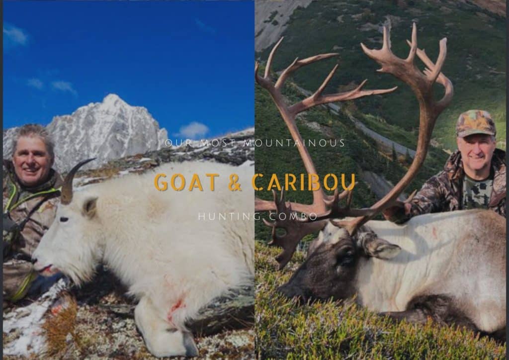 Best Big Game Hunts in BC • Terminus Mountain Outfitters